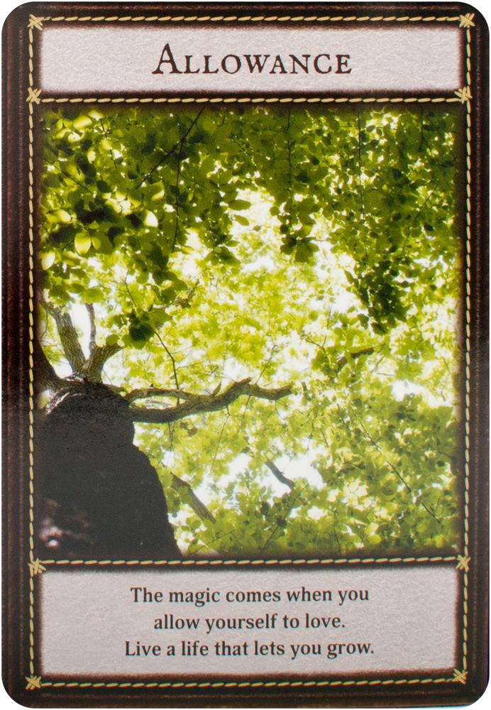 Tarotshop - Banyan tree wisdom cards