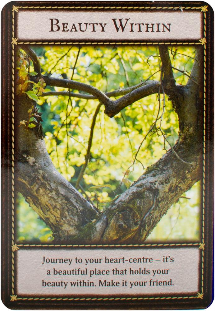 Tarotshop - Banyan tree wisdom cards
