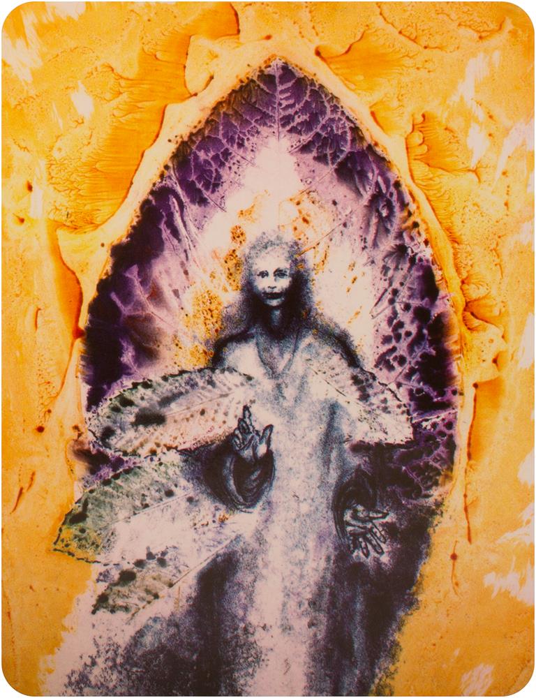 Tarotshop - Soul Cards Ii (3-1/4" X 5"; 60 Color Cards; 36 Page Manual)