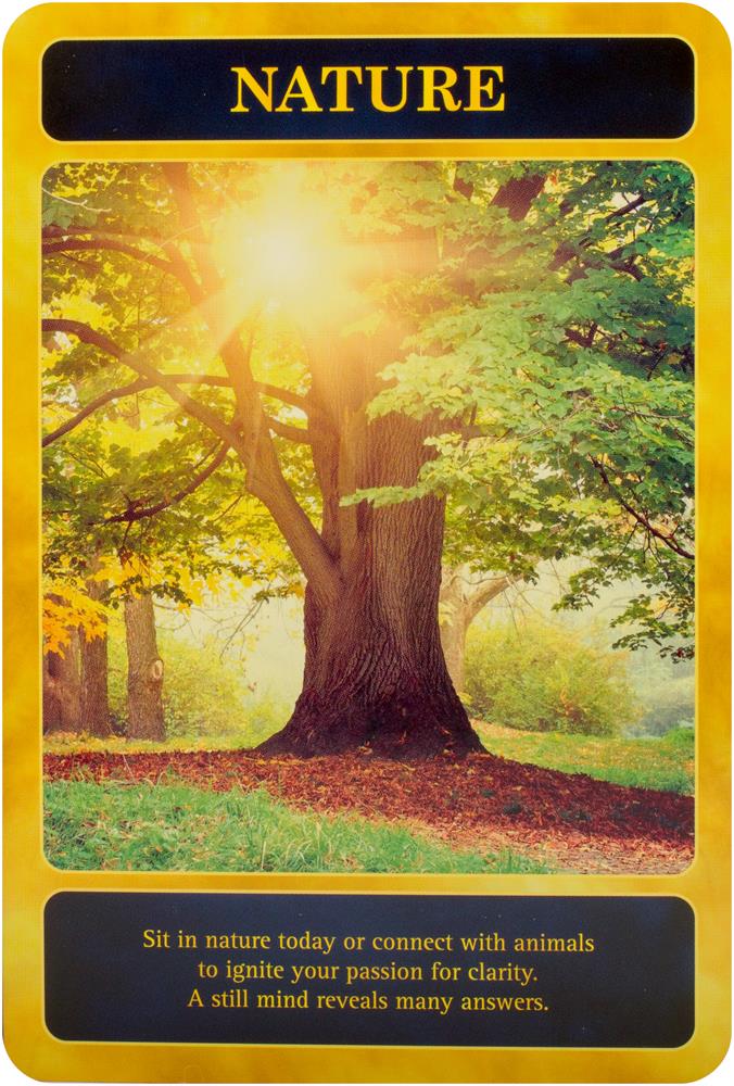 Tarotshop - Universal Prophecy Cards