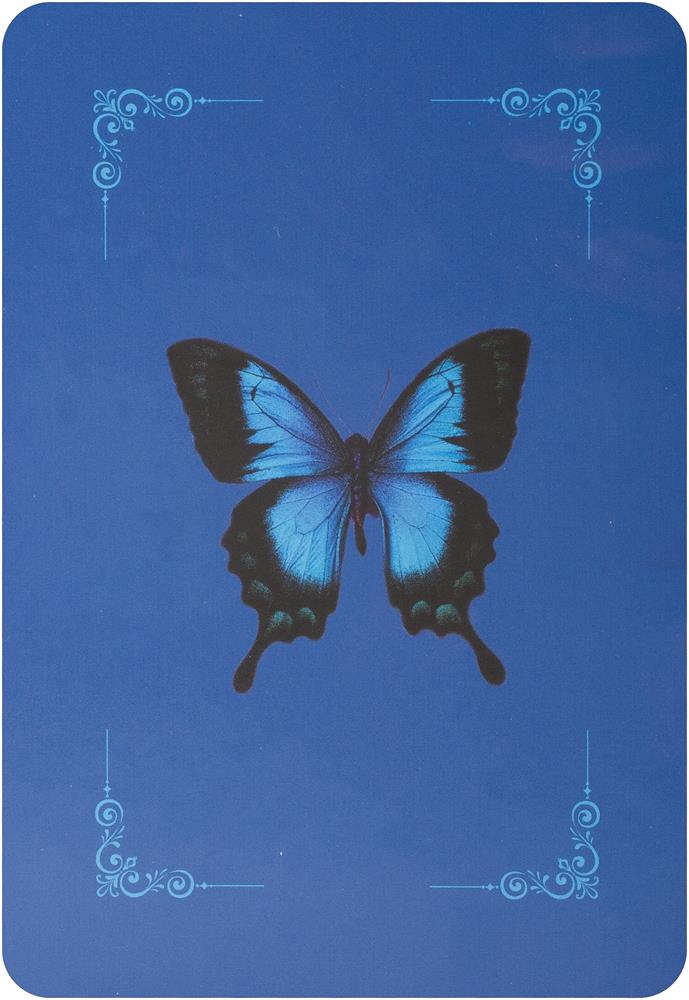 Tarotshop - Butterfly Oracle Cards for Life Changes