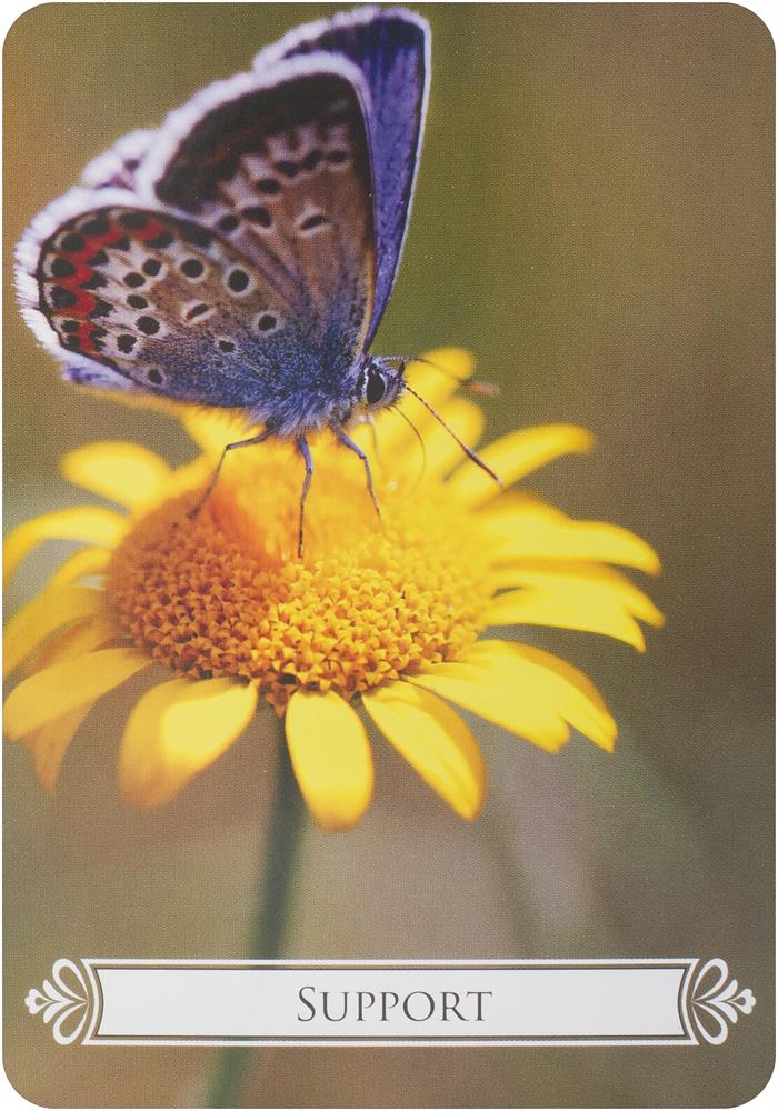 Tarotshop - Butterfly Oracle Cards for Life Changes