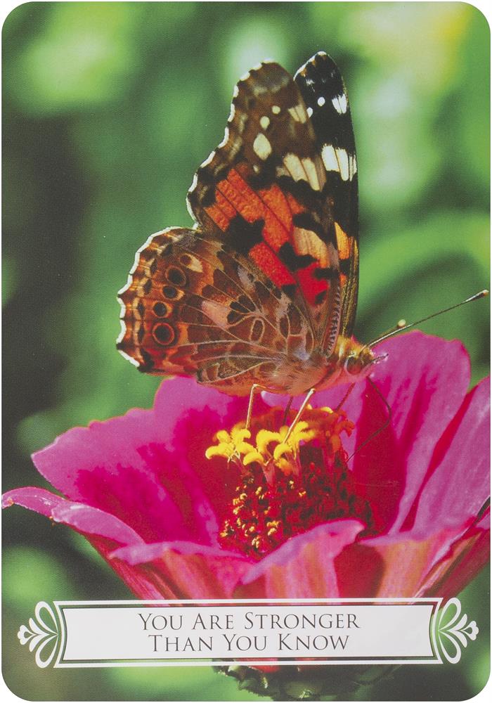 Tarotshop - Butterfly Oracle Cards for Life Changes