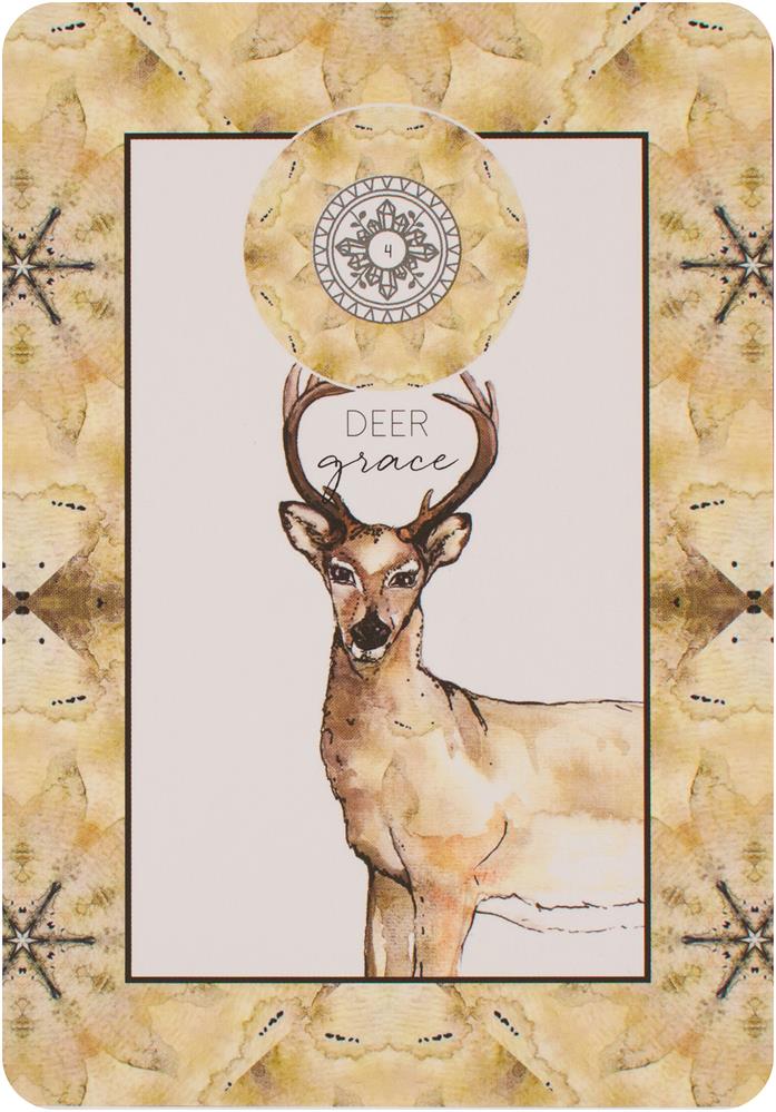 Tarotshop - Animal Kin Oracle