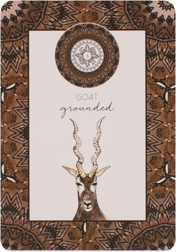 Tarotshop - Animal Kin Oracle