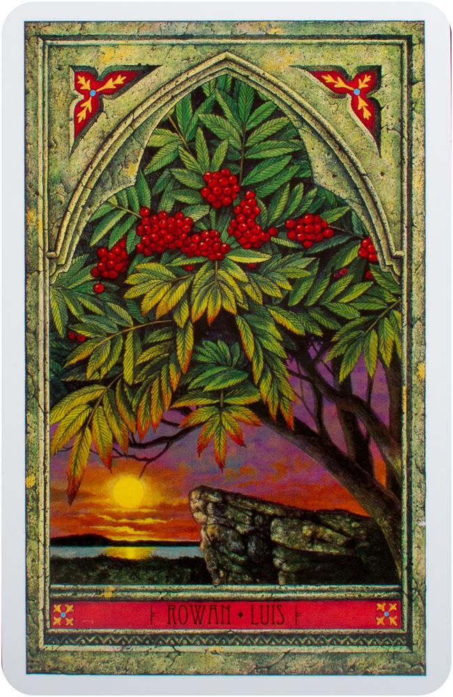 Tarotshop - The Spirit of Nature Oracle