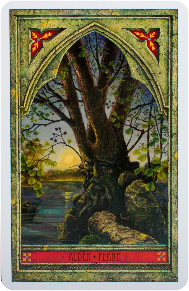 Tarotshop - The Spirit of Nature Oracle