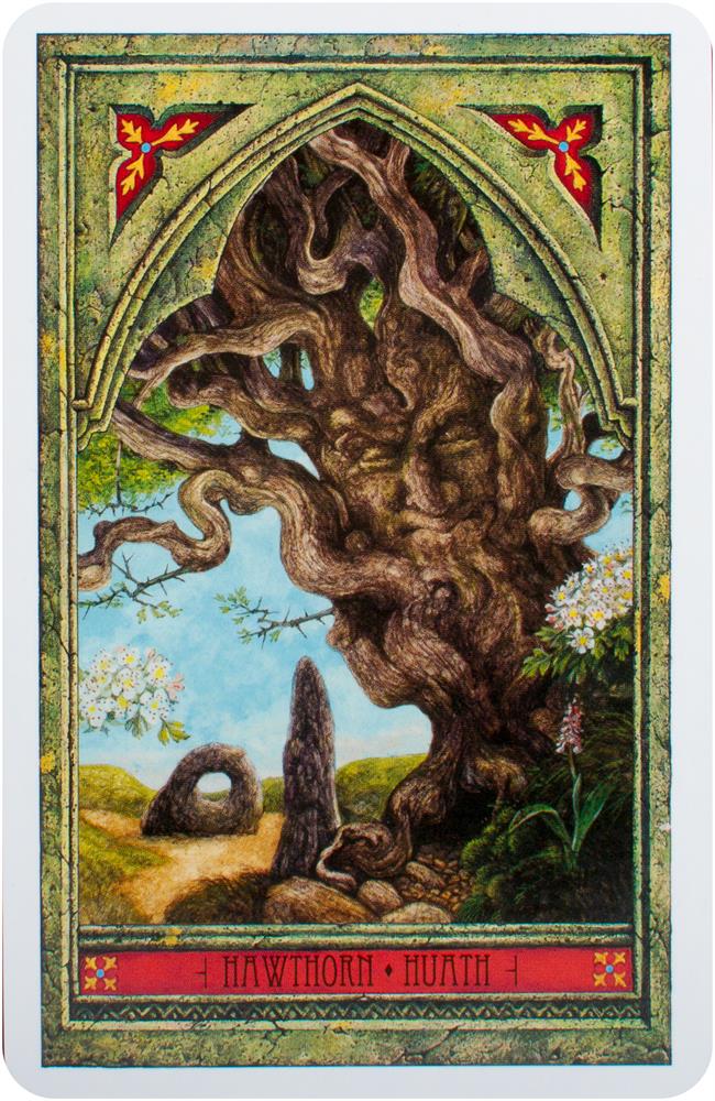 Tarotshop - The Spirit of Nature Oracle