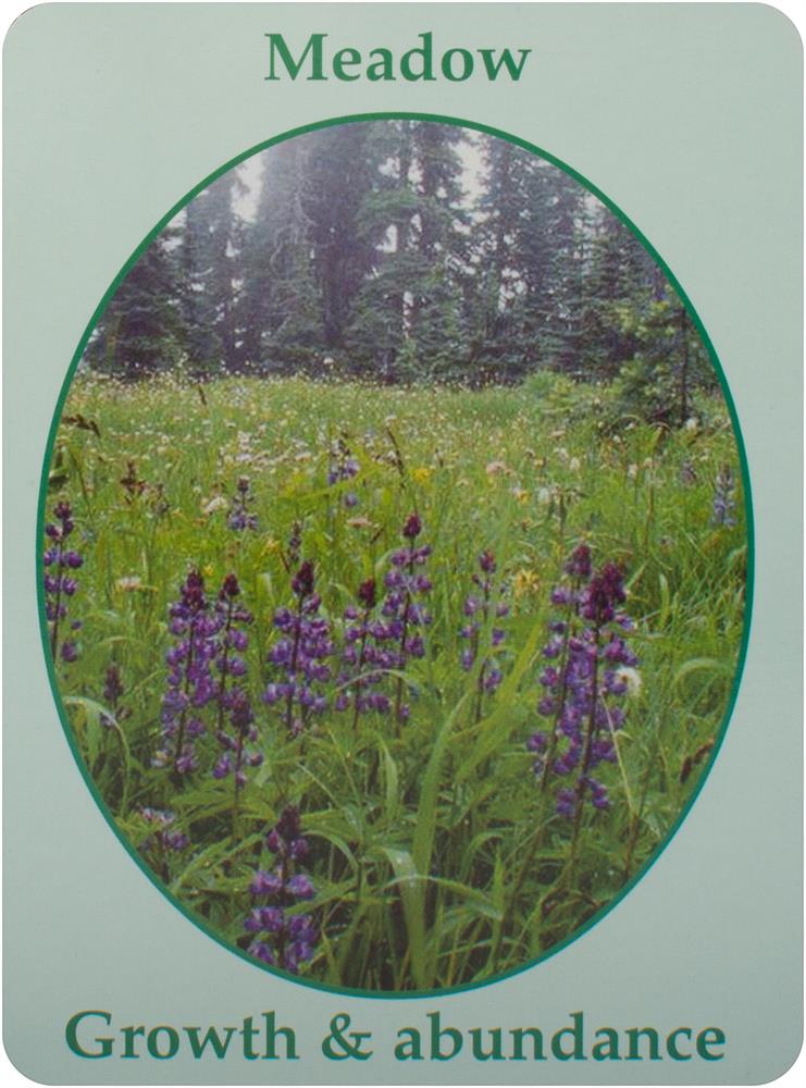 Tarotshop - Nature-Speak Oracle (60 Cards & Guidebook)