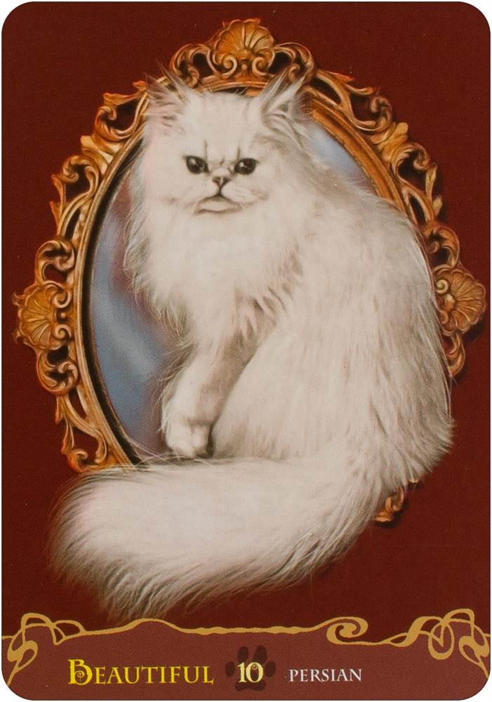 Tarotshop - Cats Inspirational Oracle Cards